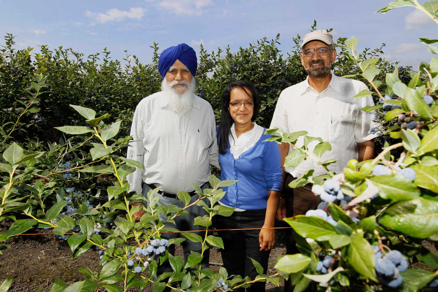 Blueberry Bonanza – Save-On-Foods