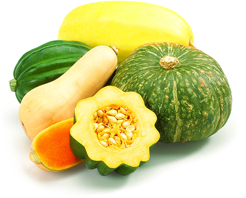 Your Ultimate Squash Guide – Save-On-Foods