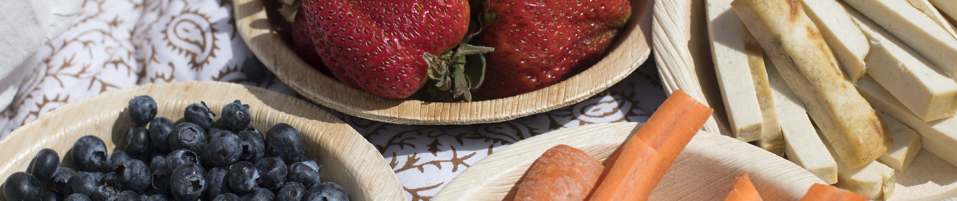 Ten Items to Bring for the Perfect Picnic - Save-On-Foods