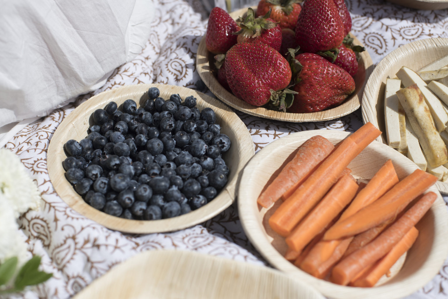 Ten Items to Bring for the Perfect Picnic – Save-On-Foods